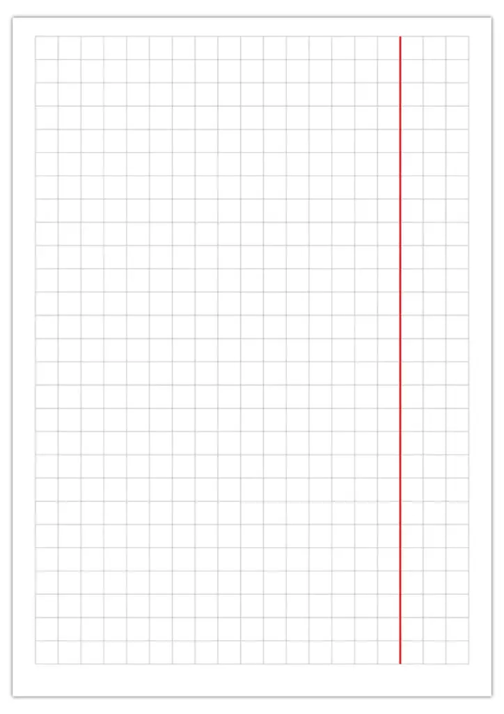 Foglio a quadretti con margini - fogli-da-stampare.su